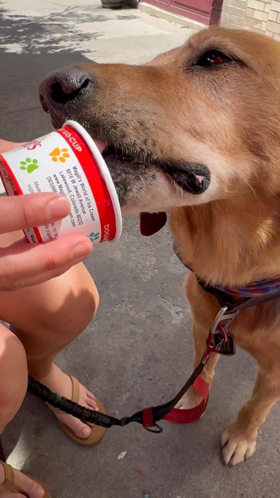 GOLDEN SWEETS - Updated December 2025 - 169 Photos & 153 Reviews - 1299 ...