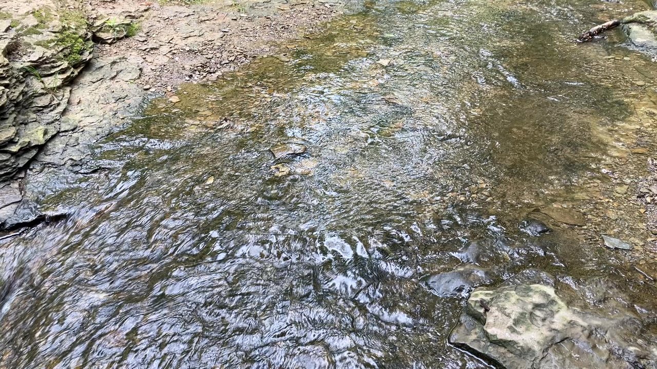 FALL RUN PARK - Updated May 2026 - 123 Photos & 29 Reviews - 187 Falls ...