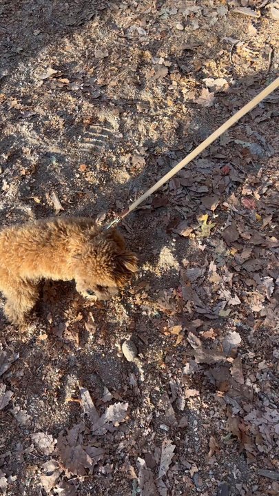 COLD SPRING HARBOR STATE PARK - Updated January 2026 - 263 Photos & 68 ...