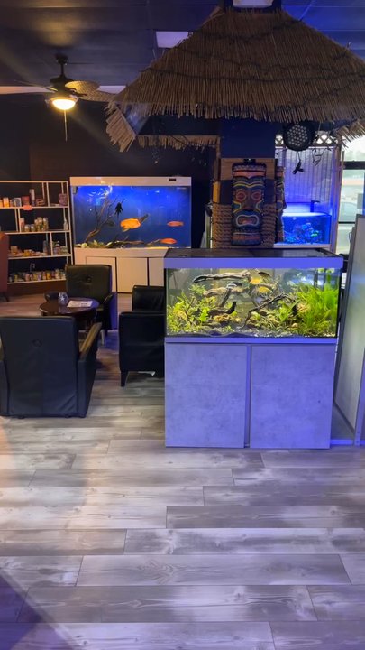 FLOATING SEA AQUATICS - Updated January 2026 - 292 Photos & 68 Reviews ...