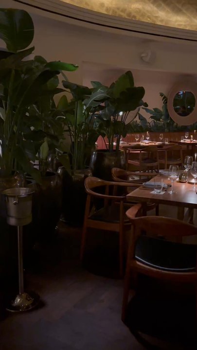 PAO - Updated June 2026 - 1154 Photos & 319 Reviews - 3201 Collins Ave ...