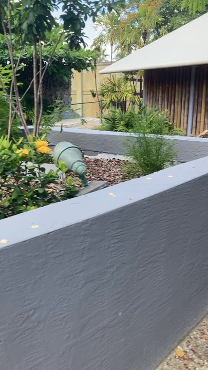 ICHIMURA MIAMI JAPANESE GARDEN - Updated December 2025 - 123 Photos ...