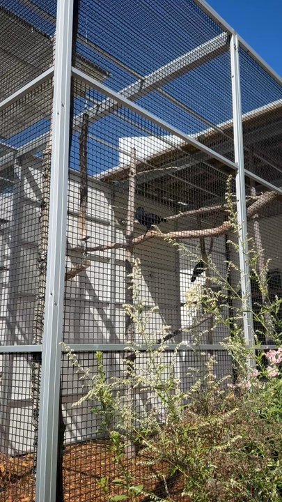 ECOTARIUM - Updated March 2026 - 452 Photos & 93 Reviews - 222 ...