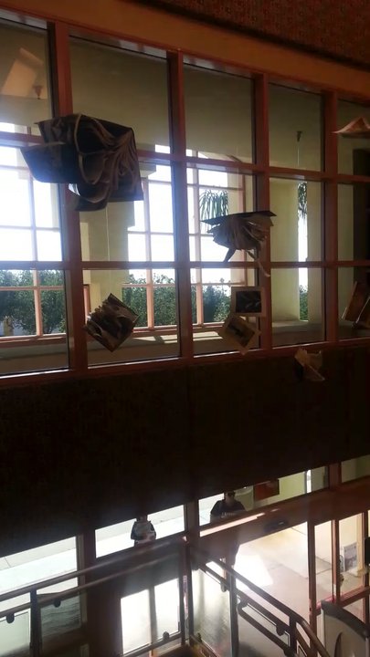 RANCHO CUCAMONGA LIBRARY- BIANE BRANCH - Updated November 2025 - 77 ...