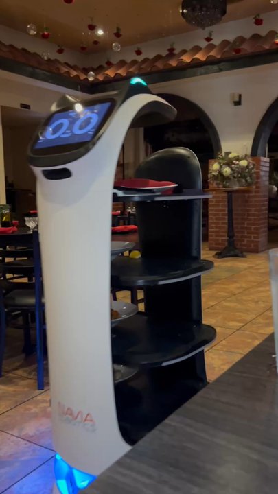 IL SAGGIO ITALIAN RESTAURANT - Updated January 2026 - 751 Photos & 586 ...