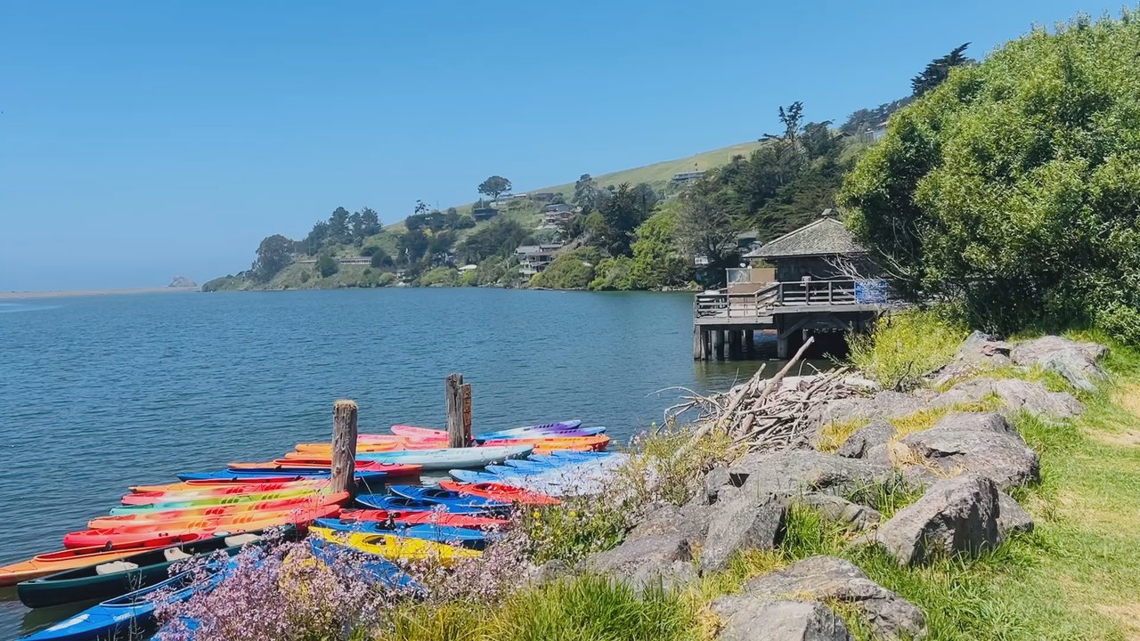 CAFE AQUATICA - Updated May 2025 - 632 Photos & 521 Reviews - 10439 Hwy ...