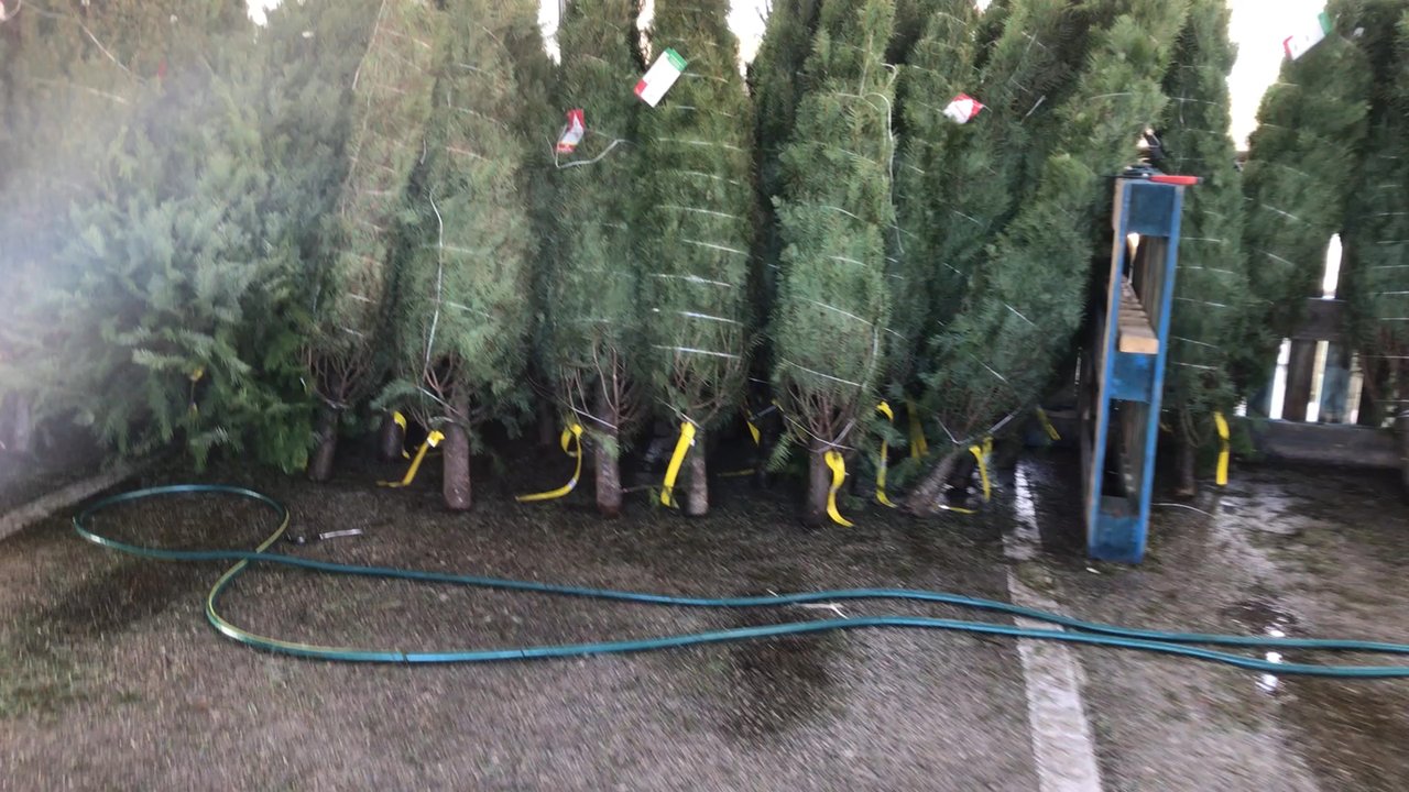 THE HOME DEPOT - Updated December 2025 - 50 Photos & 26 Reviews - 295 ...