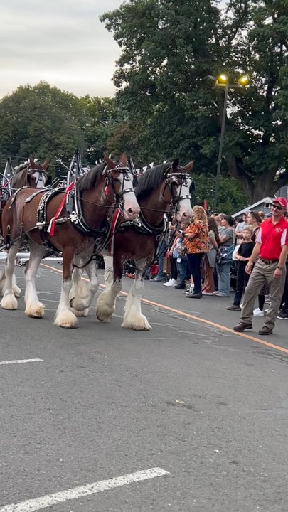 THE BIG E - Updated October 2025 - 1673 Photos & 341 Reviews - 1305 ...