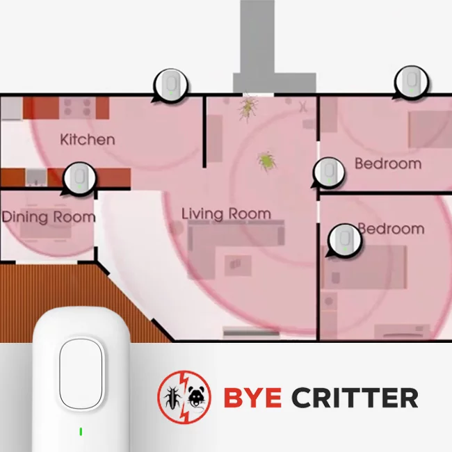 Bye Critter | Keep Your Property Pest-Free For Good