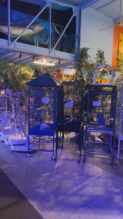 PREUSS PETS - Updated December 2025 - 97 Photos & 93 Reviews - 1127 N ...