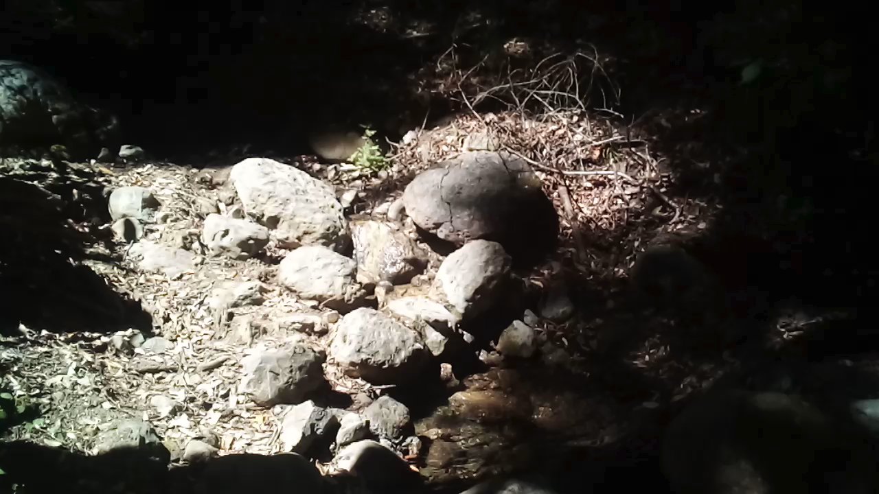 LOS TRANCOS OPEN SPACE PRESERVE - Updated December 2025 - 118 Photos ...