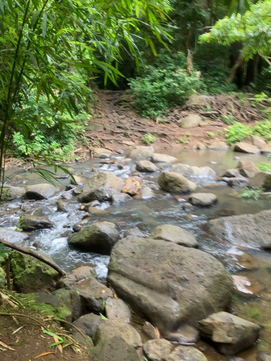 JUDD TRAIL - Updated December 2025 - 381 Photos & 105 Reviews - Nuuanu ...