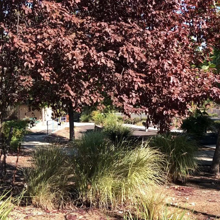 SUTTER LAKESIDE HOSPITAL - Updated March 2025 - 43 Reviews - 5176 Hill ...