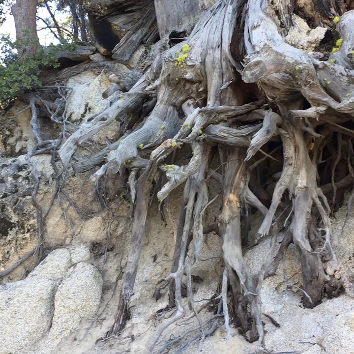 IDYLLWILD NATURE CENTER - Updated November 2025 - 288 Photos & 70 ...