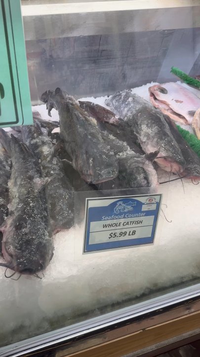 CENTRAL FISH COMPANY - Updated April 2026 - 502 Photos & 281 Reviews ...
