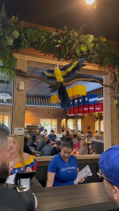 NANDO GRILL - Updated May 2026 - 252 Photos & 97 Reviews - 3060 W Sand ...