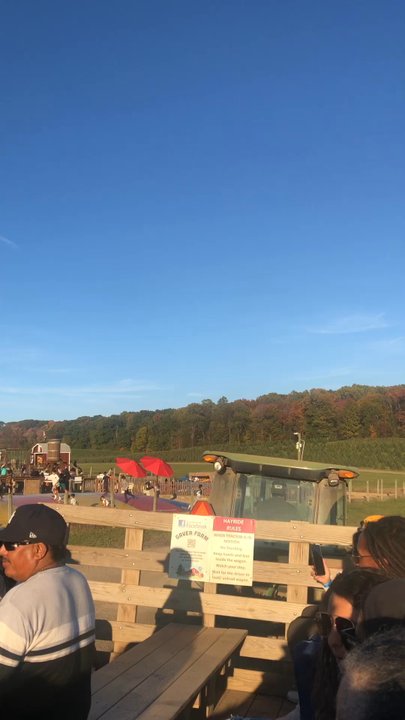 GAVER TREE FARM & PUMPKIN PATCH - Updated October 2025 - 283 Photos ...