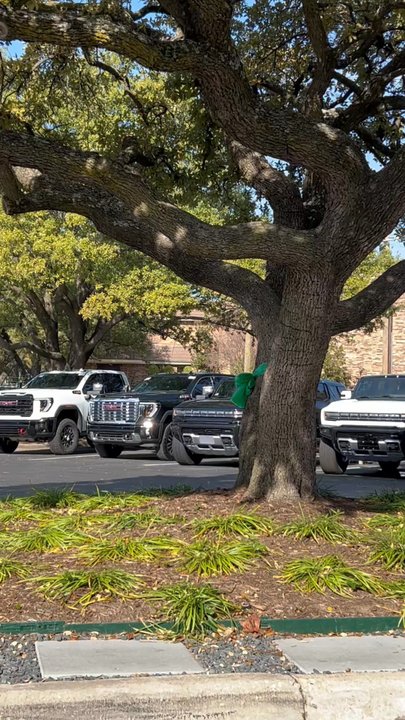 SEWELL BUICK GMC OF DALLAS - Updated April 2026 - 26 Photos & 140 ...