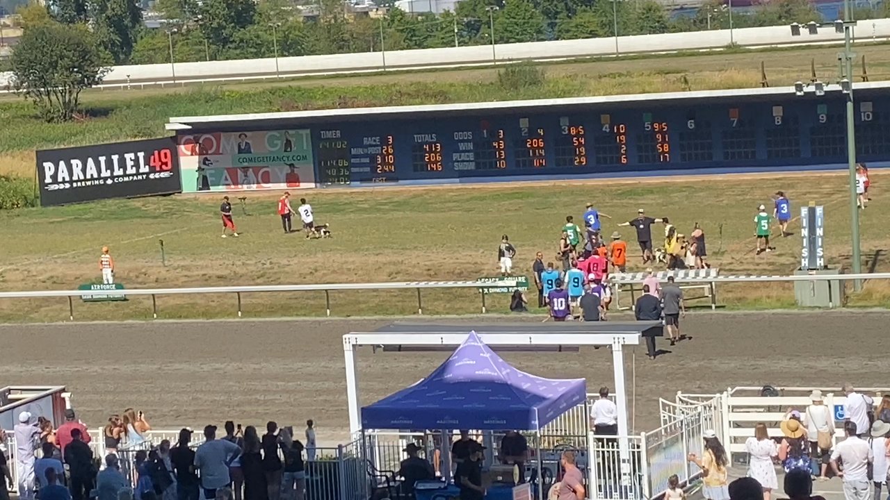 HASTINGS RACECOURSE - Updated October 2025 - 53 Photos & 27 Reviews ...