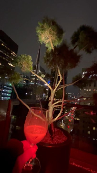 PEN TOP - Updated December 2025 - 146 Photos & 221 Reviews - 700 5th ...