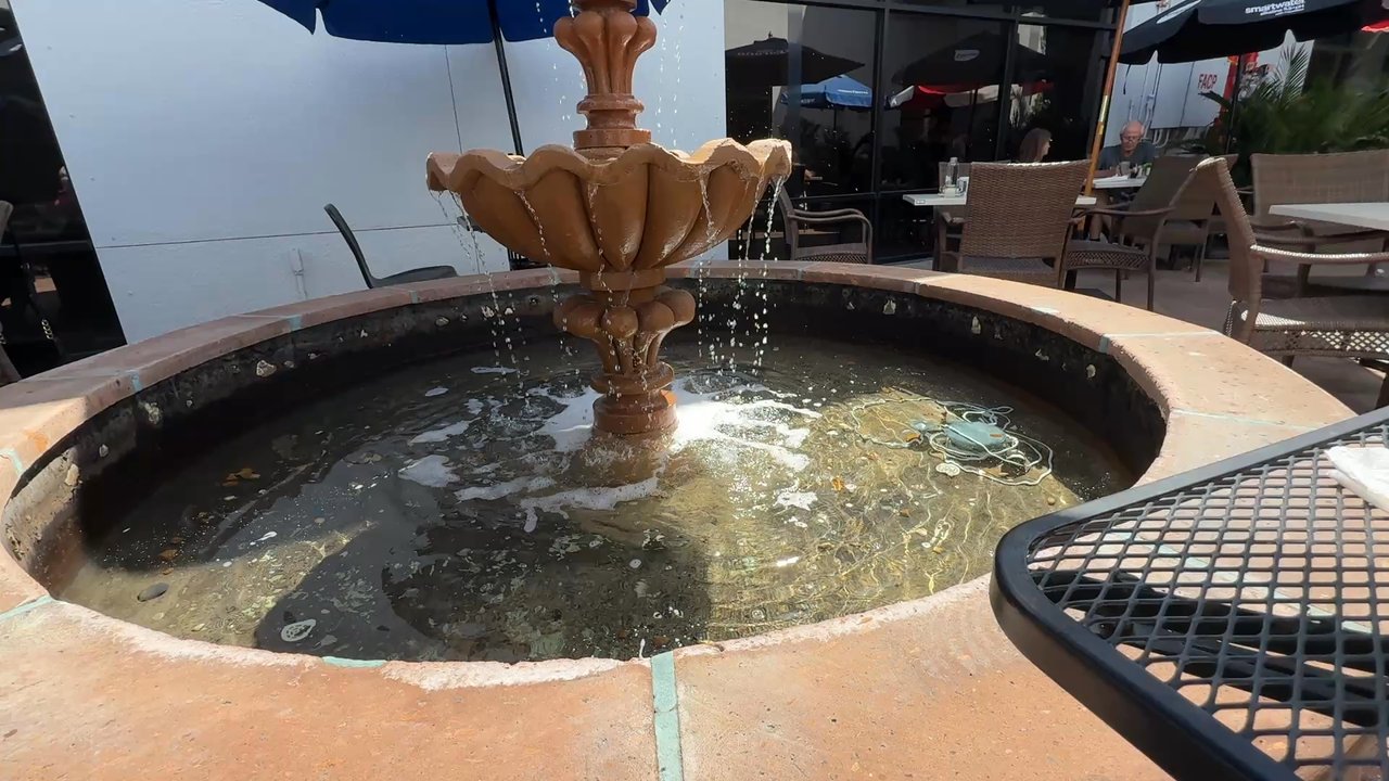 GG BRUNCH HAUS - Updated January 2026 - 59 Photos & 48 Reviews - 7785 ...