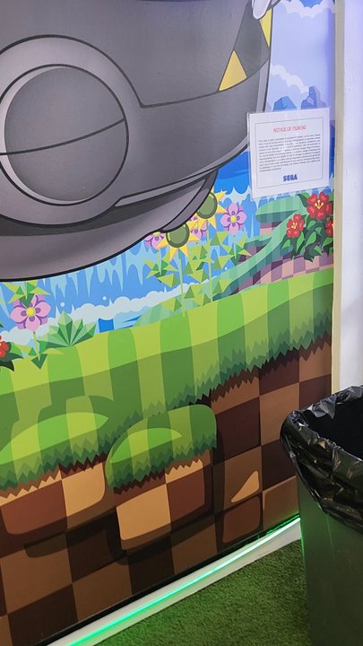 SONIC THE HEDGEHOG SPEED CAFE - Updated May 2026 - 136 Photos & 12 ...
