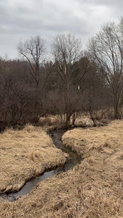 STAGE NATURE CENTER - Updated April 2026 - 87 Photos & 17 Reviews ...