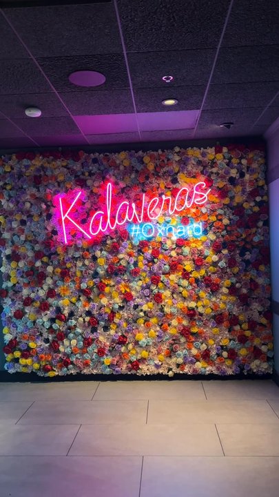 KALAVERAS - Updated May 2025 - 334 Photos & 230 Reviews - 1740 Ventura ...