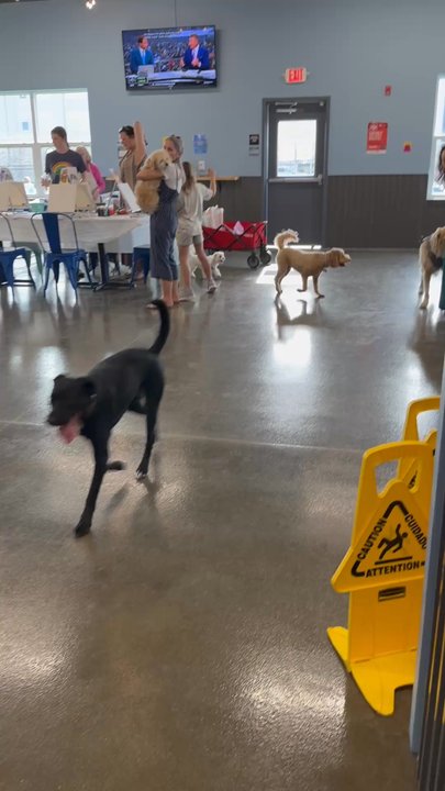 CRATE ESCAPES DOG PARK + BAR - Updated October 2025 - 71 Photos & 15 ...