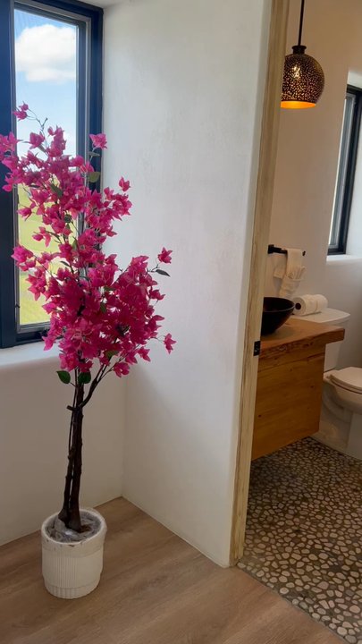 SIRENA VINEYARD RESORT - Updated July 2025 - 180 Photos & 36 Reviews ...