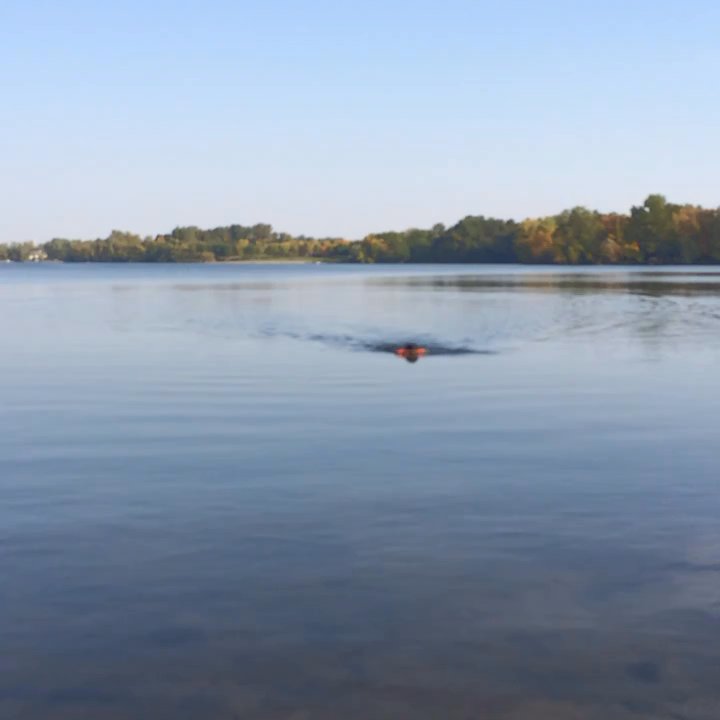 LONG LAKE REGIONAL PARK - Updated May 2026 - 27 Photos - 1500 Old Hiwy ...