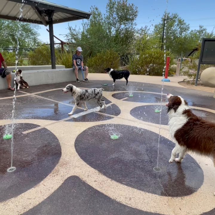 HERITAGE BARK PARK - Updated December 2025 - 166 Photos & 127 Reviews ...