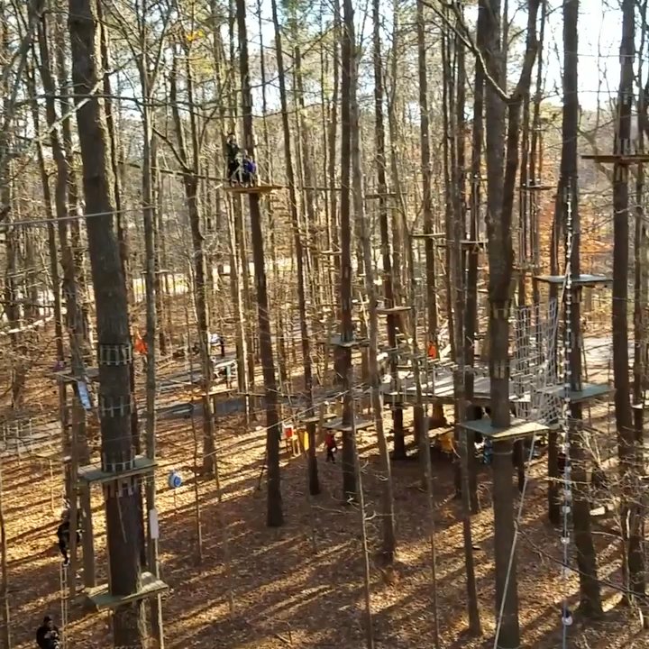 THE ADVENTURE PARK AT VIRGINIA AQUARIUM - Updated December 2025 - 457 ...