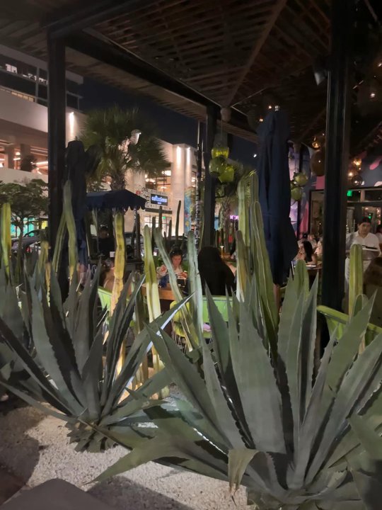 BAKAN - Updated May 2025 - 2429 Photos & 1146 Reviews - 2801 NW 2nd Ave ...