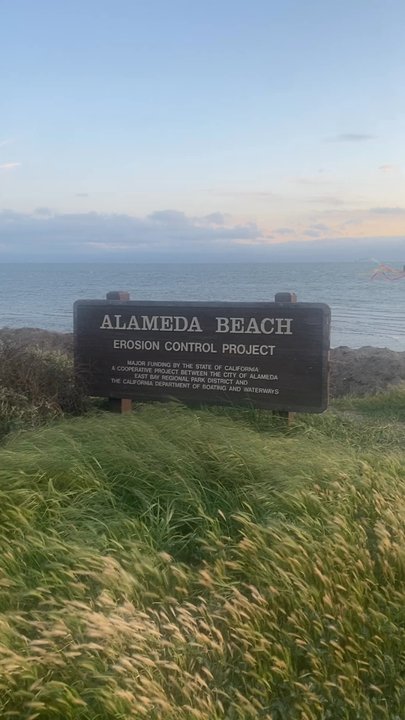 ALAMEDA BEACH - Updated April 2025 - 462 Photos & 162 Reviews ...