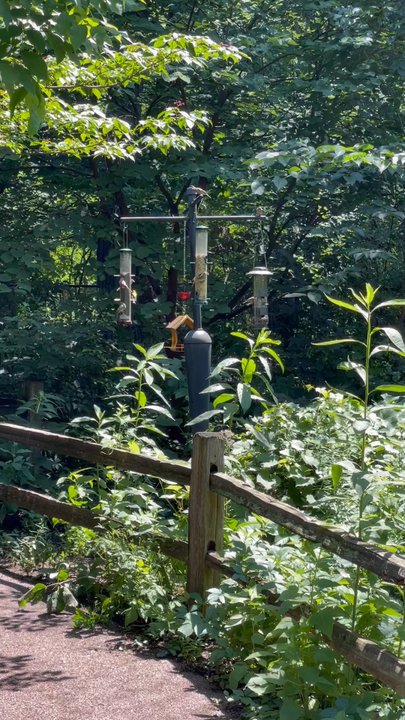 TRAILSIDE MUSEUM OF NATURAL HISTORY - Updated June 2026 - 185 Photos ...