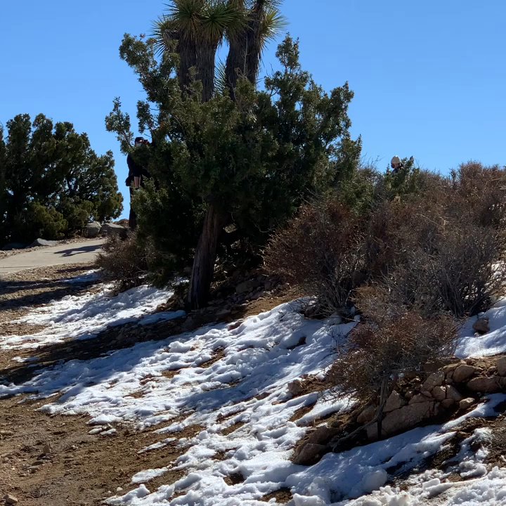 KEYS VIEW - Updated December 2025 - 361 Photos & 29 Reviews - Joshua ...