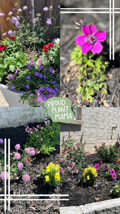 THE FLOWER RANCH - Updated December 2025 - 37 Photos & 32 Reviews - 901 ...