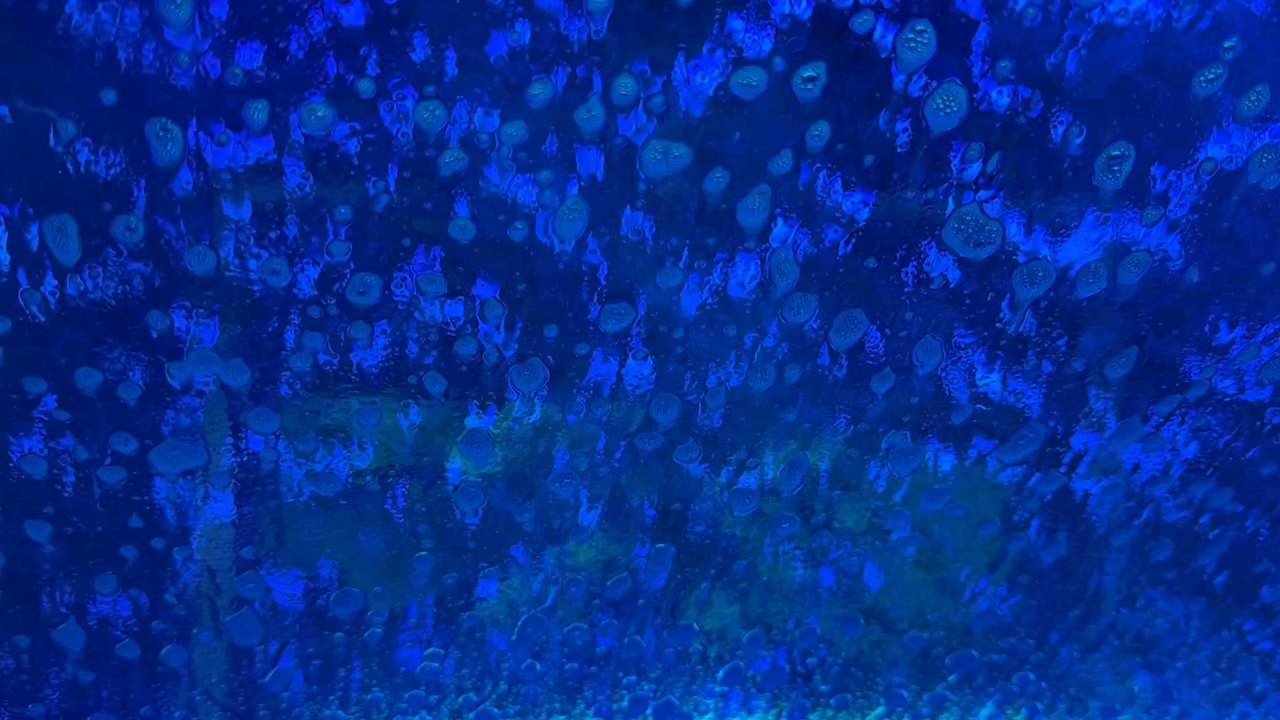 QUICK QUACK - Updated August 2025 - 22 Photos & 19 Reviews - 3982 ...