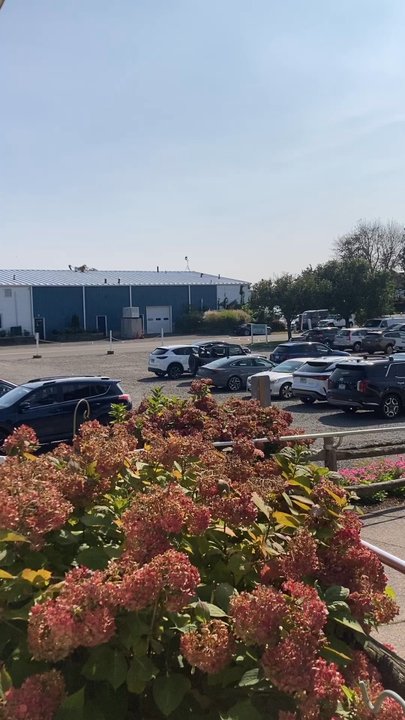 DOCKSIDE SEAFOOD & GRILLE - Updated December 2025 - 194 Photos & 239 ...