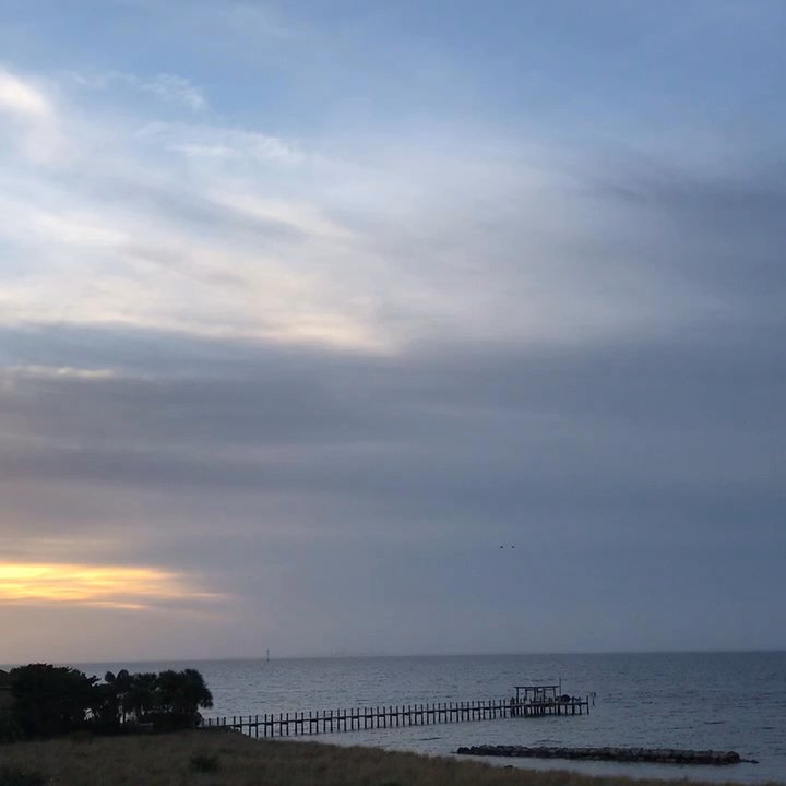 APOLLO BEACH NATURE PRESERVE - Updated April 2026 - 249 Photos & 48 ...