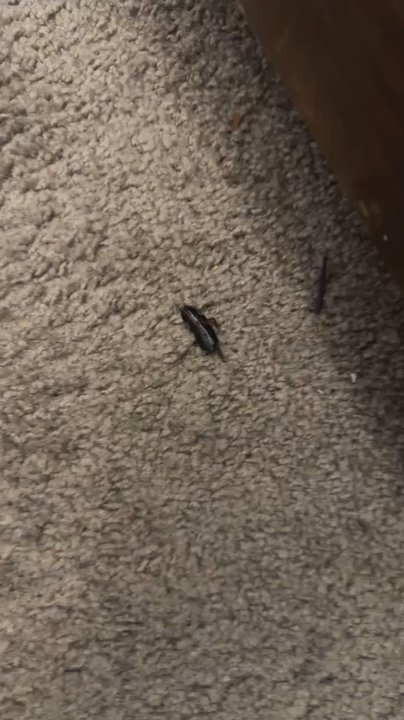 HERON POINTE APARTMENTS - Updated January 2026 - 206 Photos & 92 ...