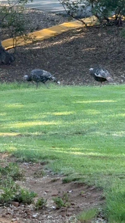 PINEZANITA CAMPGROUNDS & RV PARK - Updated July 2025 - 144 Photos & 124 ...