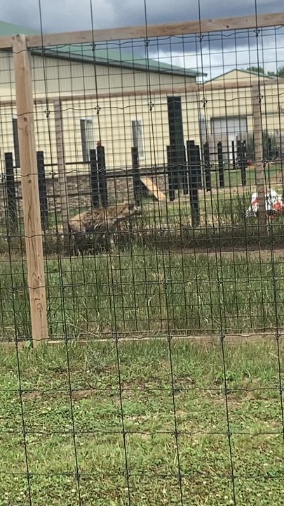 SAFARI NORTH WILDLIFE PARK - Updated October 2025 - 67 Photos & 36 ...