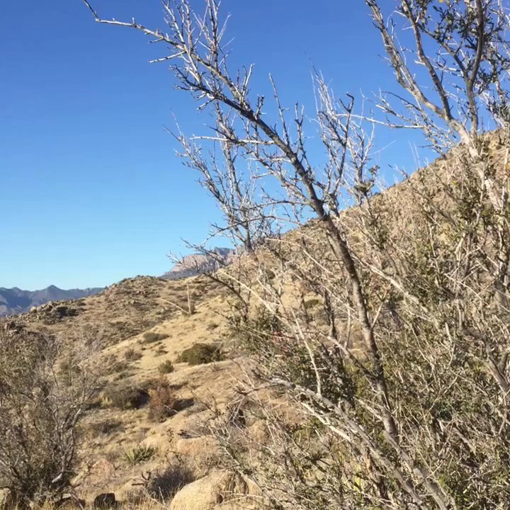 EMBUDO CANYON TRAILHEAD - Updated May 2026 - 55 Photos & 11 Reviews ...