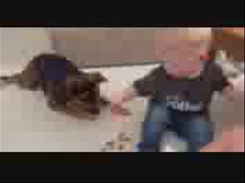 TRI-COUNTY HUMANE SOCIETY OF BOCA RATON - Updated October 2025 - 39 ...