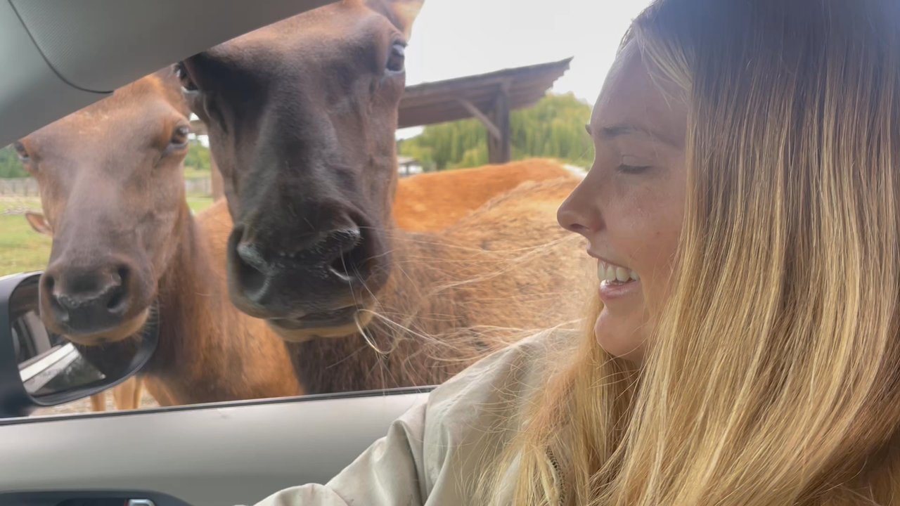 OLYMPIC GAME FARM - Updated April 2025 - 860 Photos & 372 Reviews ...