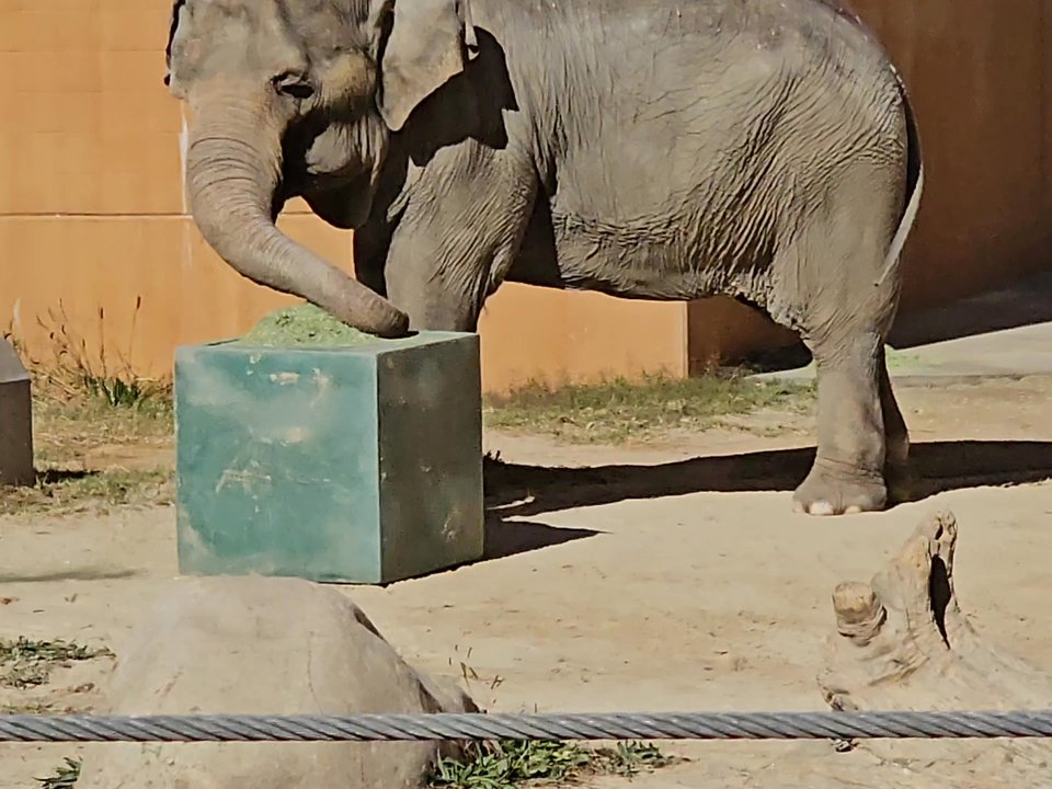 LOS ANGELES ZOO AND BOTANICAL GARDEN - Updated April 2025 - 7688 Photos ...