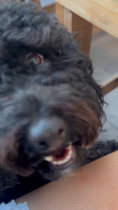 RODEO COLD - Updated October 2025 - 24 Photos & 19 Reviews - 3826 Ross ...