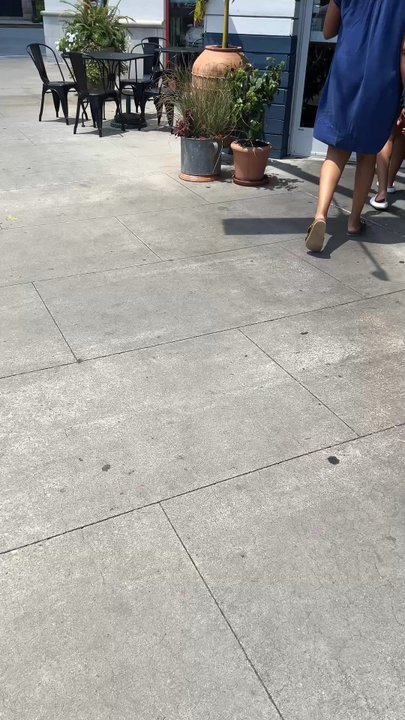 BARTACO - Updated December 2025 - 1140 Photos & 711 Reviews - 4121 Main ...